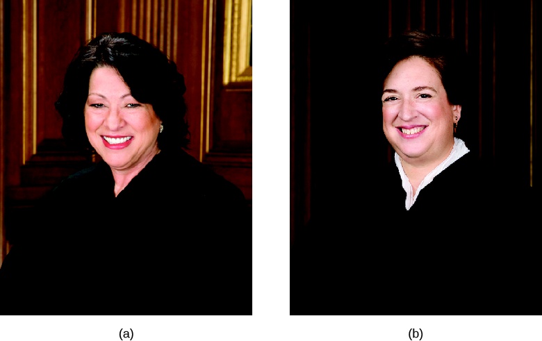 American Government Delivering Collective Action Formal Institutions
